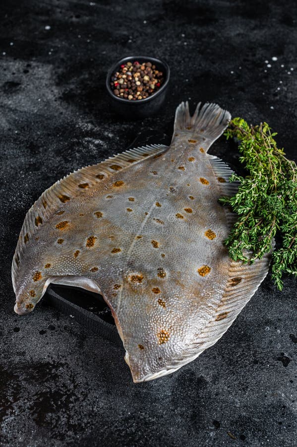 Flounder flatfish stock photo. Image of delicious, healthy - 49617390
