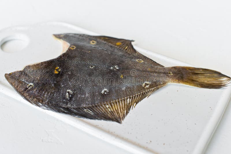 Flounder Raw On White Background Top View Stock Photo - Image of ...