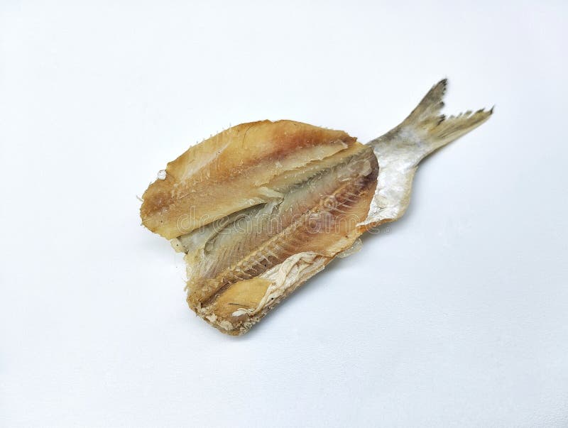 Raw Foods Dried Salted Fish in White Background Stock Image - Image of ...