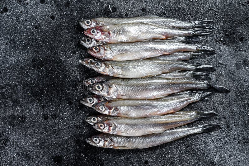 Raw Fresh Capelin Fish. Black Background Stock Photo - Image of diet ...