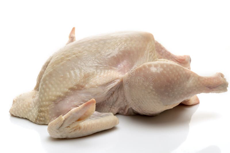 Raw Fresh Chicken for Making Chicken Soup on White Background Stock ...