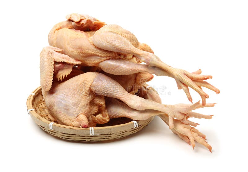 Raw fresh chicken stock photo. Image of cook, food, fillet - 169560426