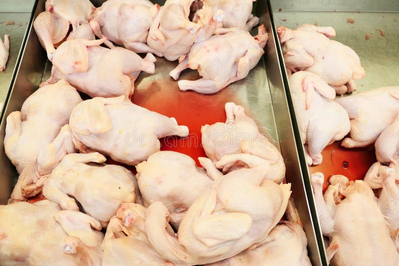 Fresh Chickens Eggs in the Nest Stock Image - Image of brown, cooking ...