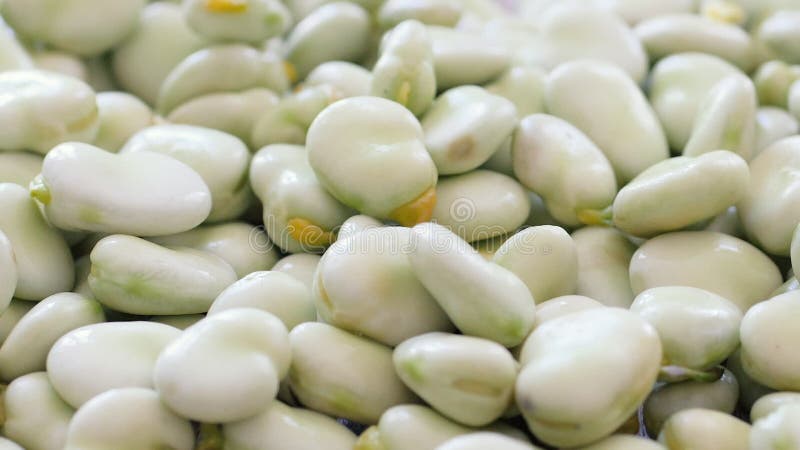 Raw, Fresh Fava Beans. Legumes Stock Footage - Video of beans ...