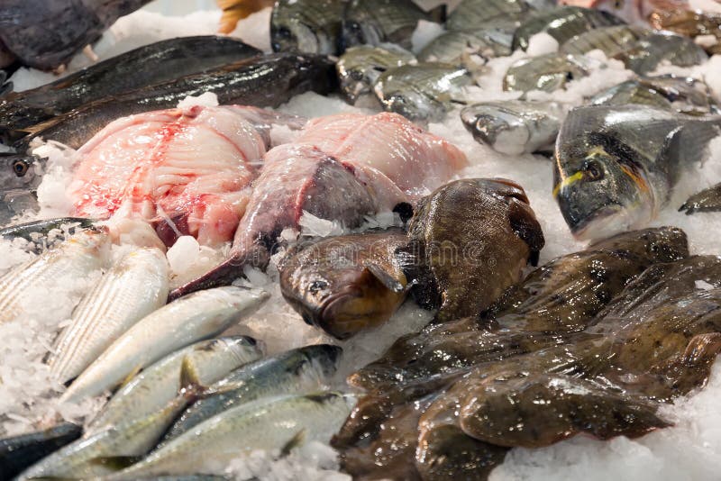Raw fresh fish stock image. Image of commercial, nature - 67201087