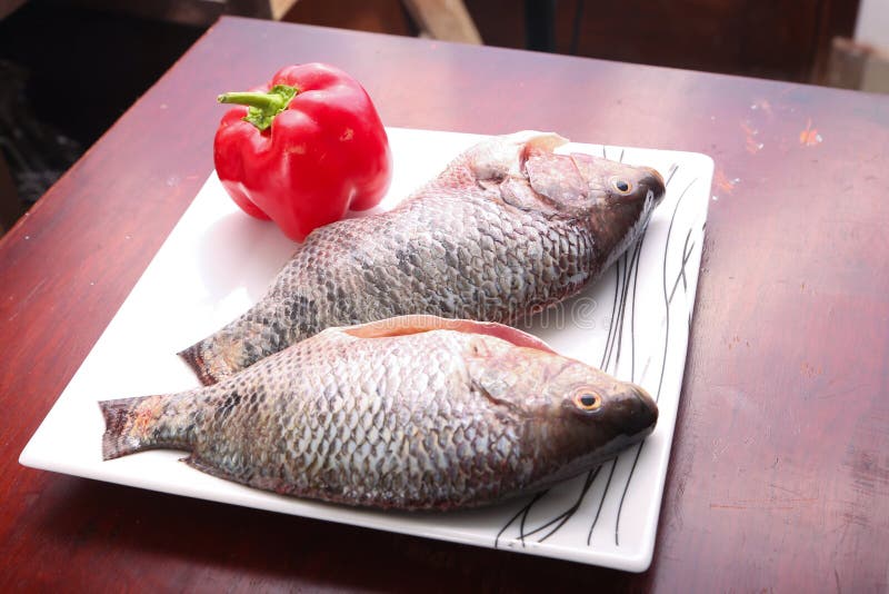 Raw fresh fish stock photo. Image of marine, closeup - 106791258