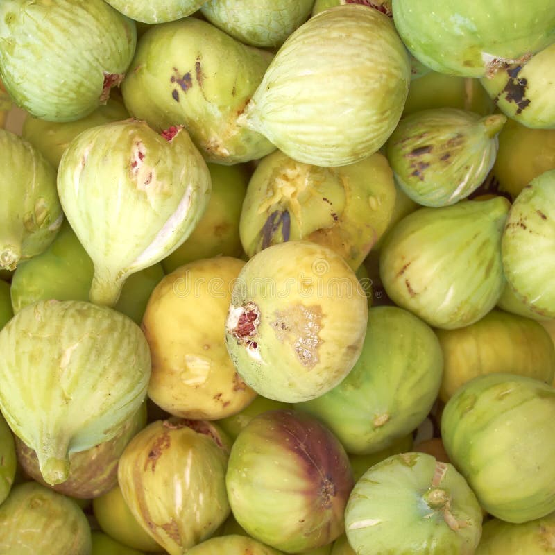 Raw fresh green figs stock image. Image of diet, market - 25977099