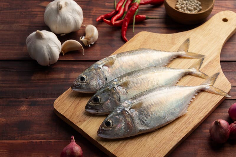 Raw Fresh Mackerel Fish Short Bodied Cutting Board Stock Photos - Free ...