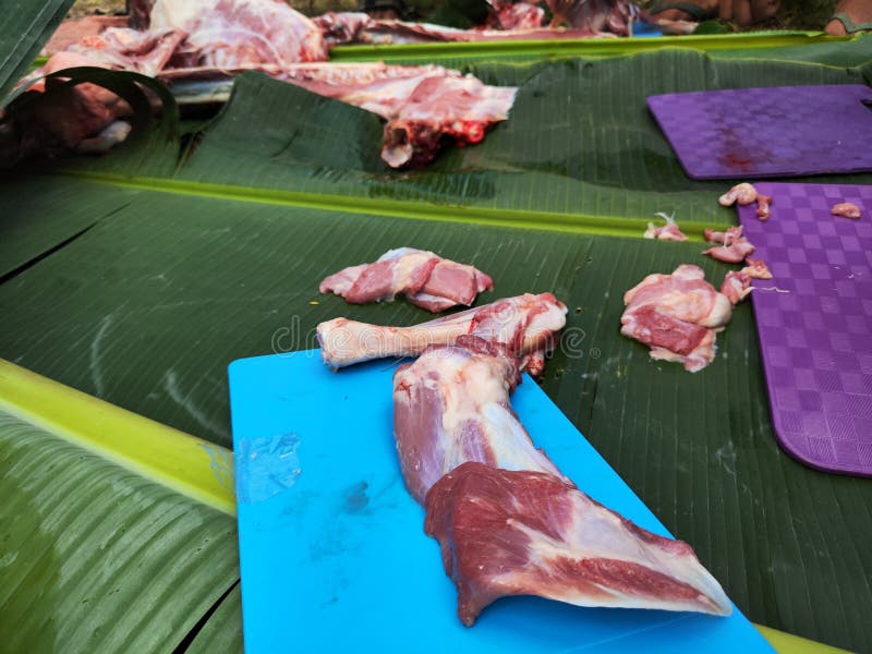 Raw Fresh Meat or Mutton and Fat. Raw Fresh Meat with Steaks of Fat ...