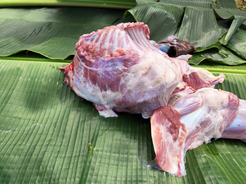 Raw Fresh Meat or Mutton and Fat. Raw Fresh Meat with Steaks of Fat ...