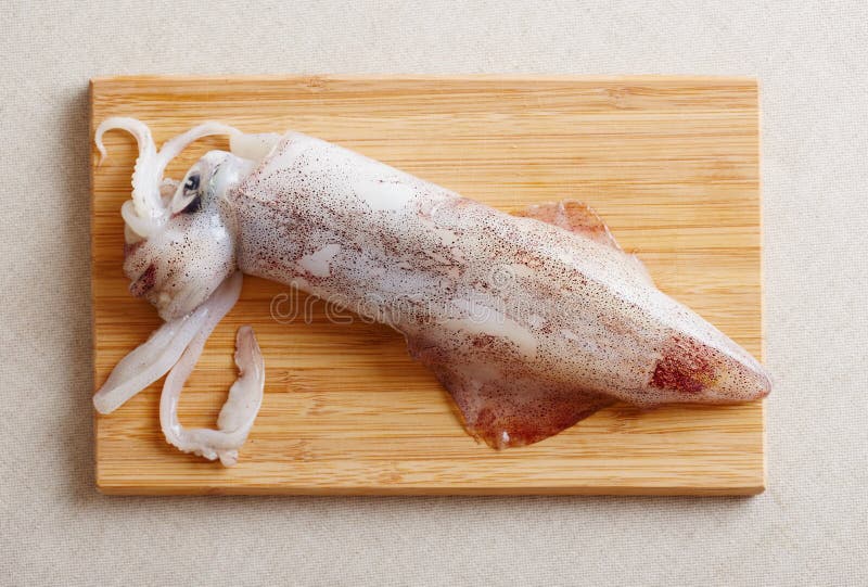 Raw Fresh Natural Whole Squid Stock Image - Image of preparing, fresh ...