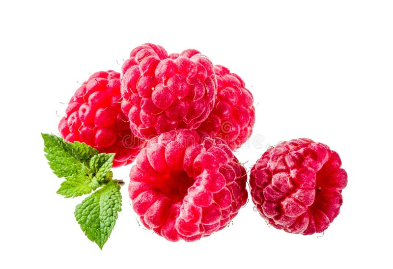 Raw fresh raspberry stock image. Image of food, season - 121322589