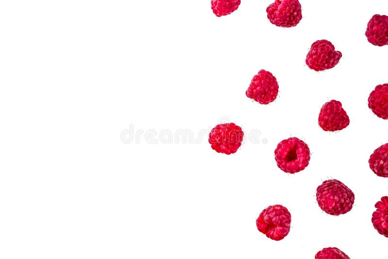 Raw fresh raspberry stock photo. Image of ripe, dessert - 124324726
