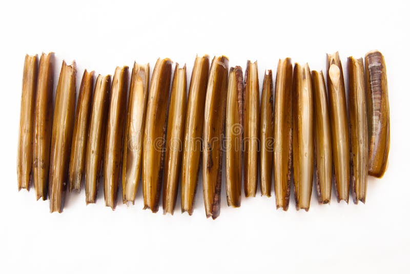 Raw and Fresh Razor Shells. Stock Photo - Image of background, pattern ...