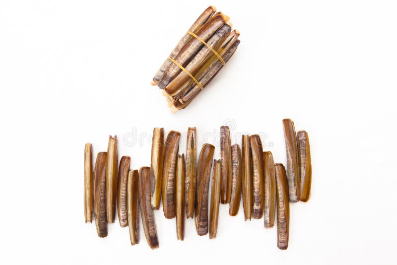 Raw and Fresh Razor Shells. Stock Photo - Image of seashell, texture ...