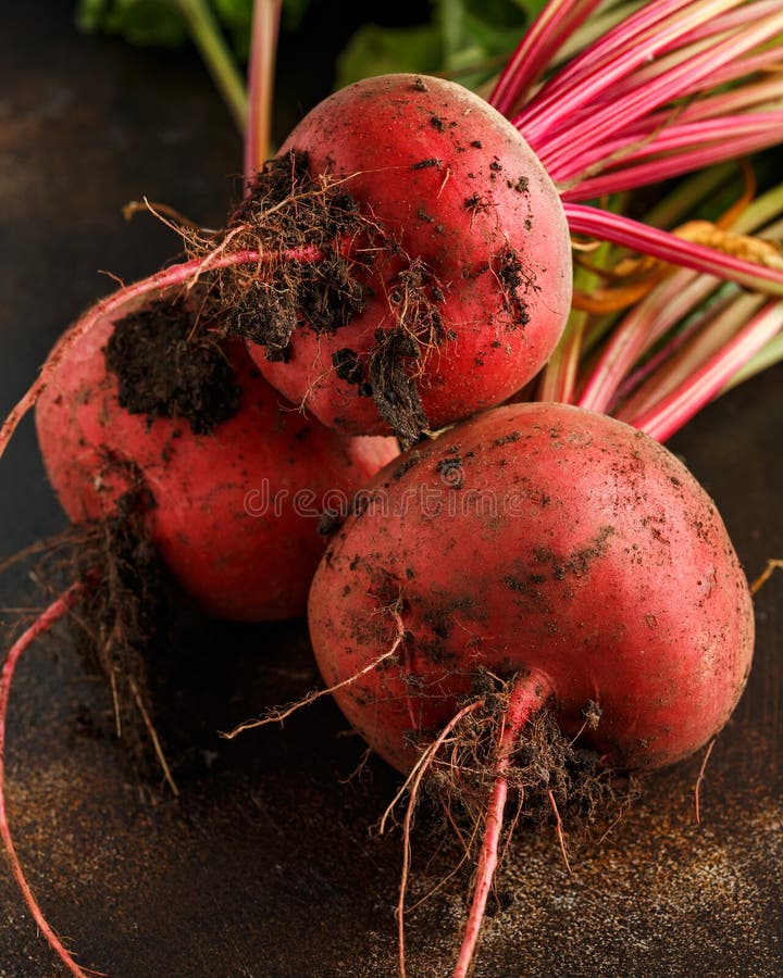 Raw Fresh Red Striped Chioggia Beet Root Stock Image - Image of juicy ...