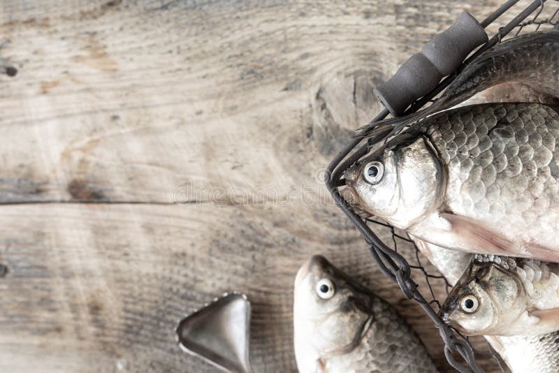 Raw Fresh River Fish on a Wooden Table. Top View with Copy Space Stock ...