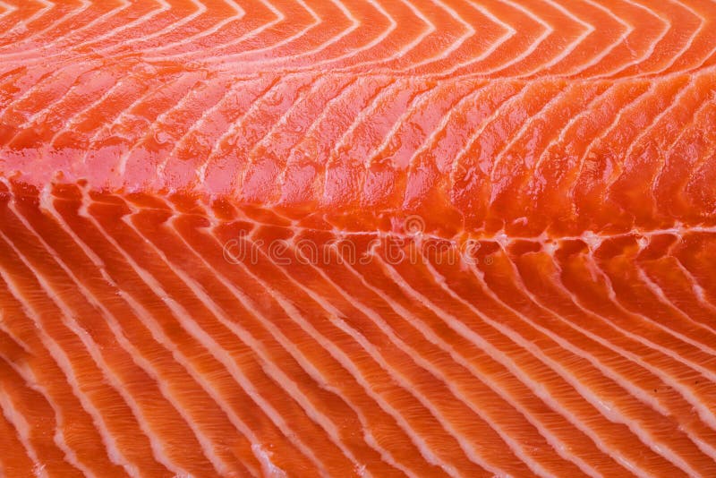 Raw fresh salmon texture stock photo. Image of closeup - 144168164