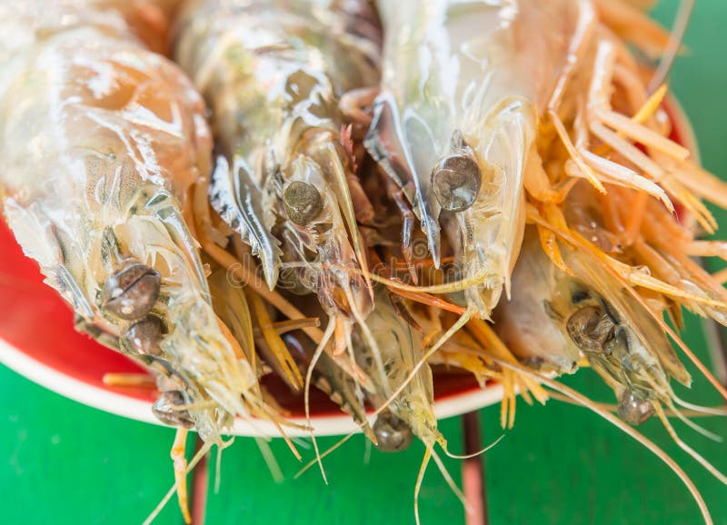 Raw Fresh Tiger Prawn on Red Dish Stock Image - Image of fresh, animal ...