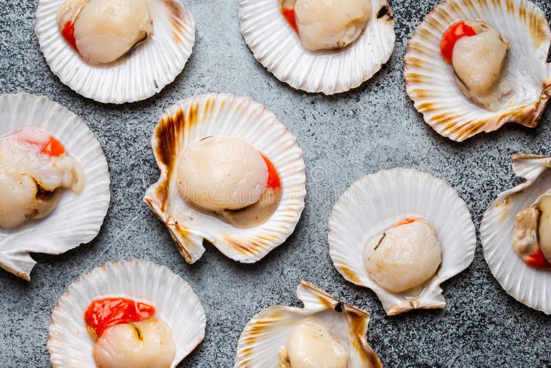 Raw Fresh Uncooked Scallops Stock Image - Image of seafood, cooking ...
