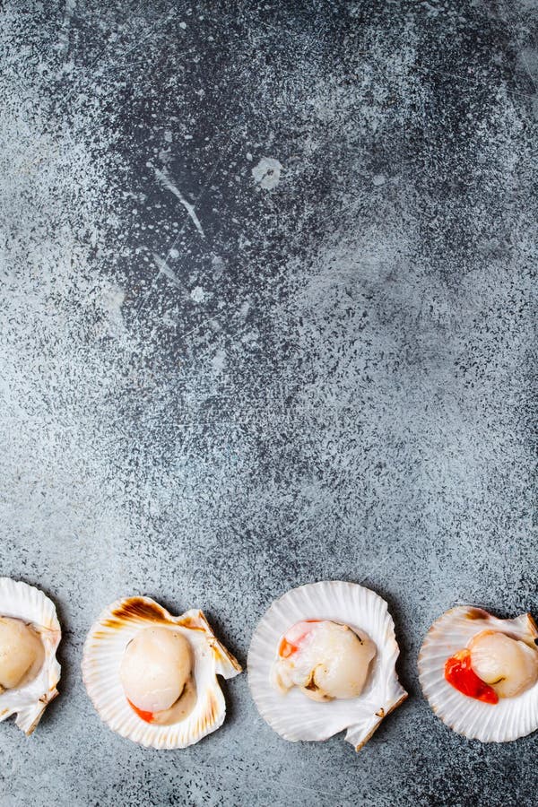 Raw Fresh Uncooked Scallops Stock Image - Image of gastronomy, blank ...