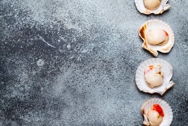 Raw Fresh Uncooked Scallops Stock Photo - Image of stone, mollusk ...