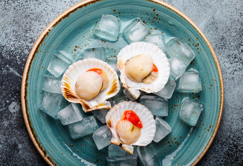 Raw Fresh Uncooked Scallops Stock Photo - Image of plate, shell: 151820678