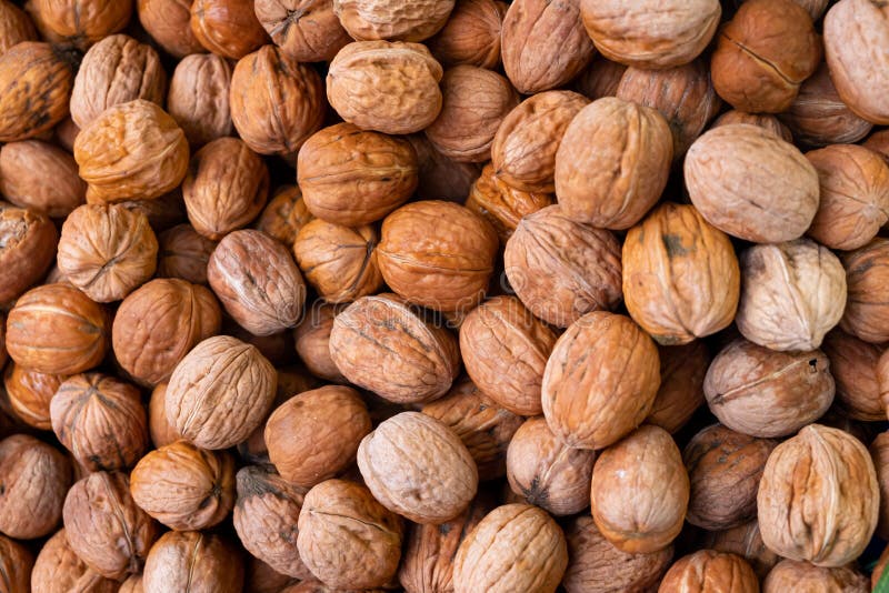 Raw Fresh Walnut Close-up in the Market Stock Photo - Image of walnut ...