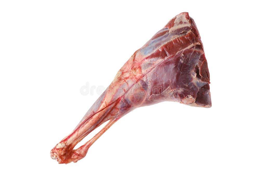 Raw Fresh Young Beef Leg Isolated on White Stock Photo - Image of ...