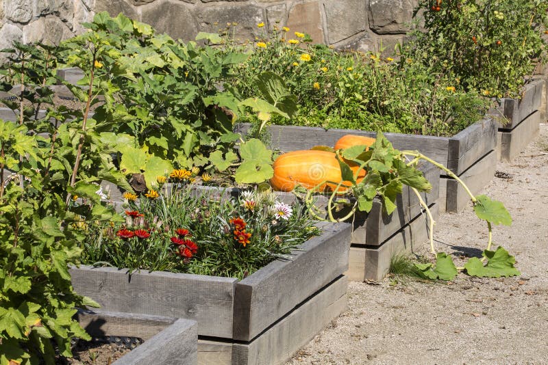 Raw garden by the house stock image. Image of fresh, rustic - 94371295