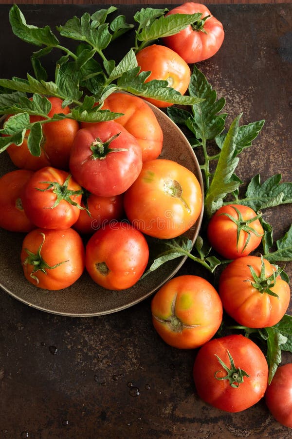 Raw Garden Tomatoes, Healthy Ingredients for Healthy Eating Stock Image ...