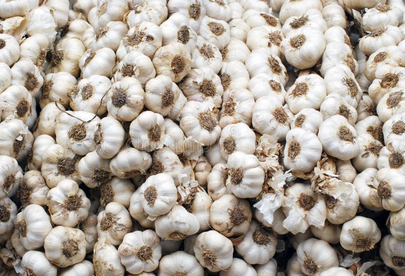 Raw garlic stock image. Image of brown, ingredient, abstract - 10610407