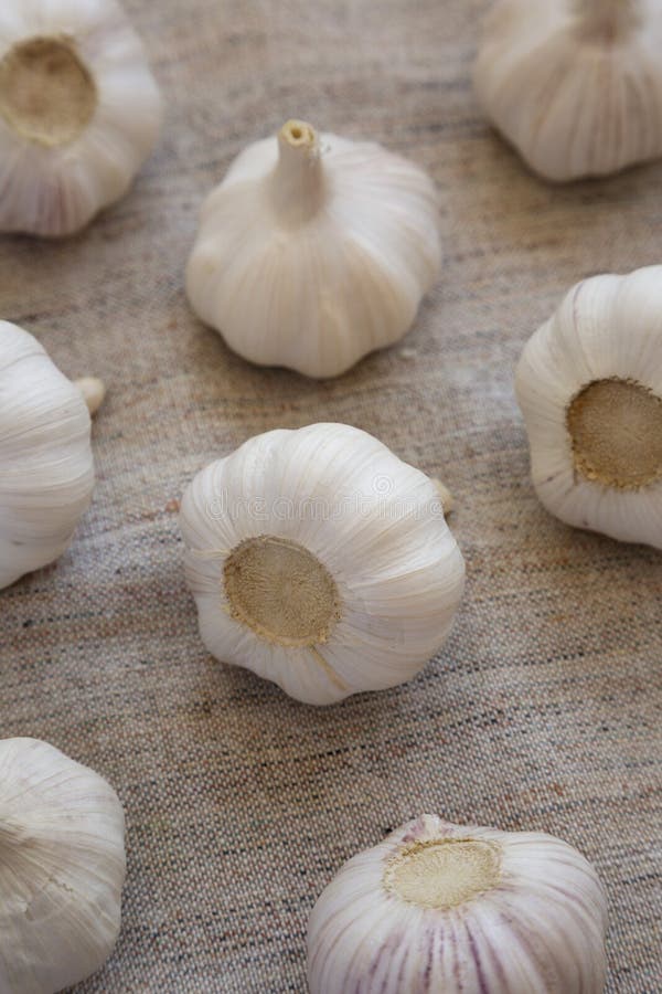 Raw Garlic Bulbs on Cloth, Side View Stock Image - Image of fresh ...