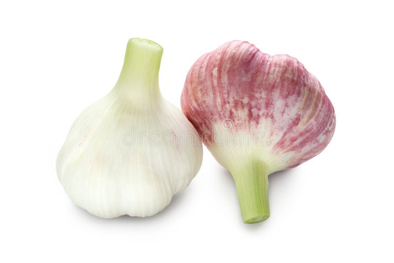 Raw Garlic. Heads of Raw Fresh Garlic Isolated on White Stock Photo ...