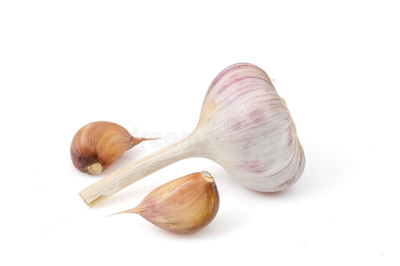 Raw Garlic Isolated on White Background. Full Depth of Field. Close-up ...