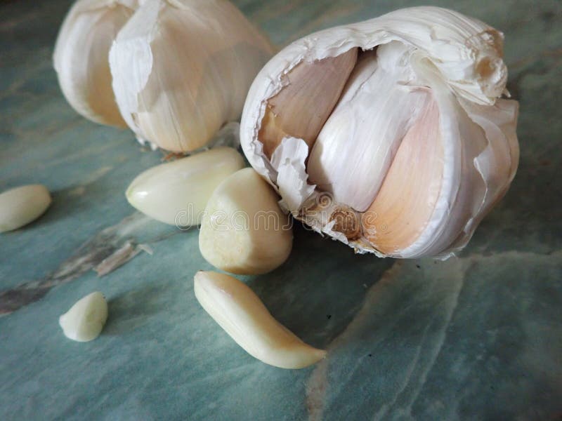Raw garlic on a table stock image. Image of clove, agriculture - 264502821