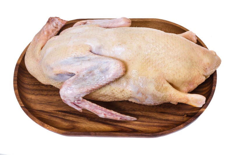 Raw goose stock image. Image of white, farmer, delicious - 66866275