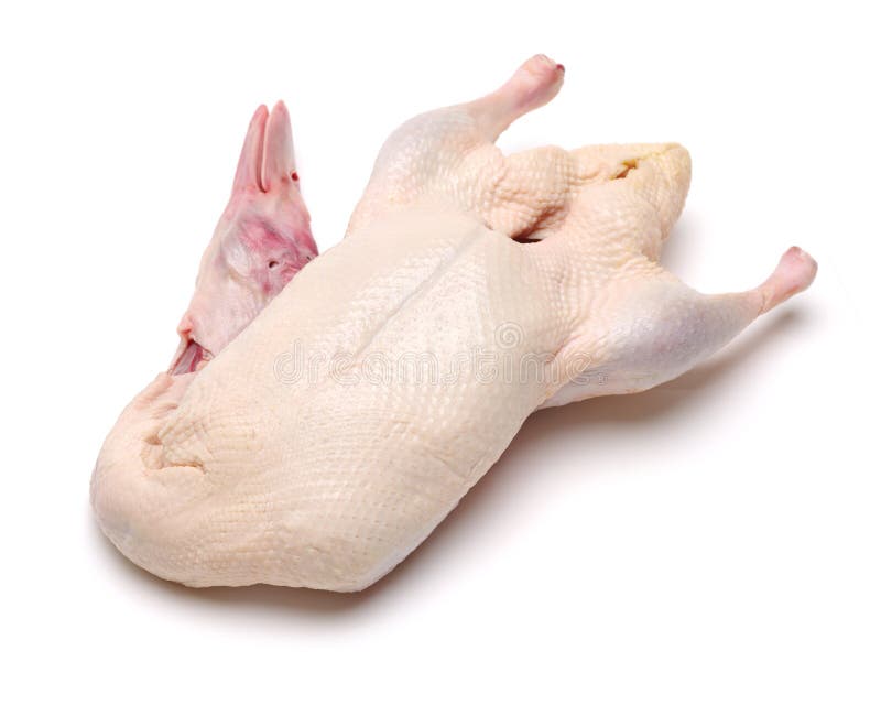 Raw goose leg stock image. Image of food, uncooked, spice - 17816807