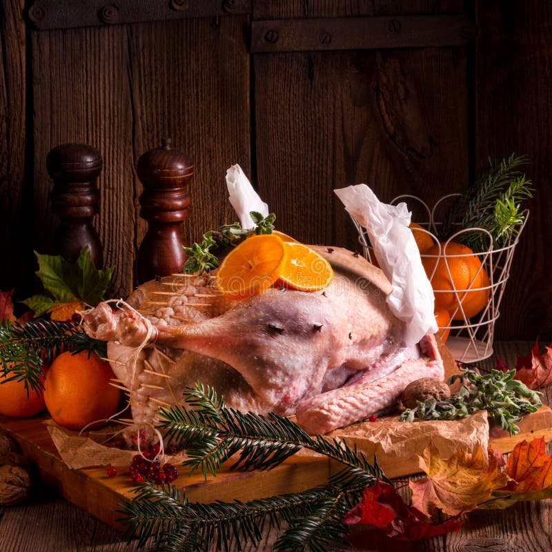 Raw goose in marinade stock photo. Image of marinated - 60777786