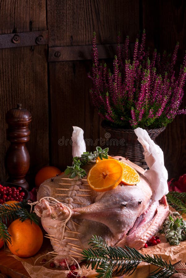 Raw goose in marinade stock image. Image of goose, detail - 60778103
