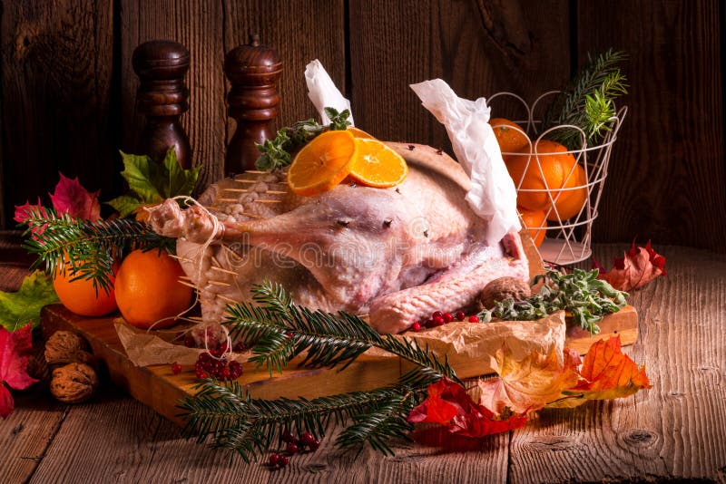 Raw goose in marinade stock photo. Image of body, poultry - 61750124