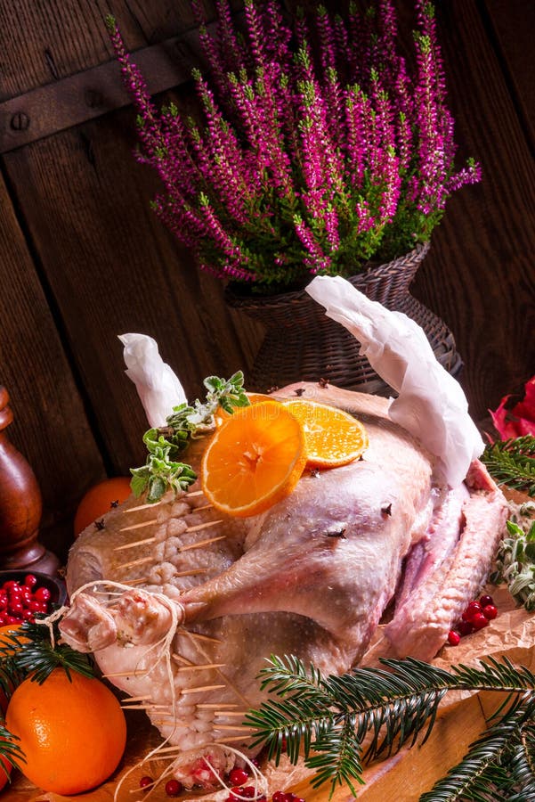 Raw goose in marinade stock photo. Image of gastronomy - 62041636