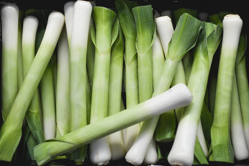 Green leek stock photo. Image of background, healthy - 13433450