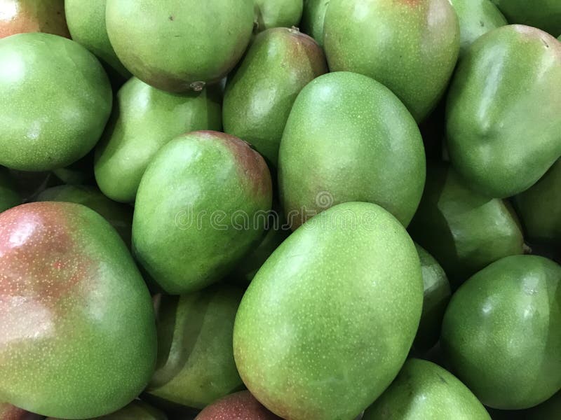 The Raw Green Mango in the Shop Stock Image - Image of branch, shop ...