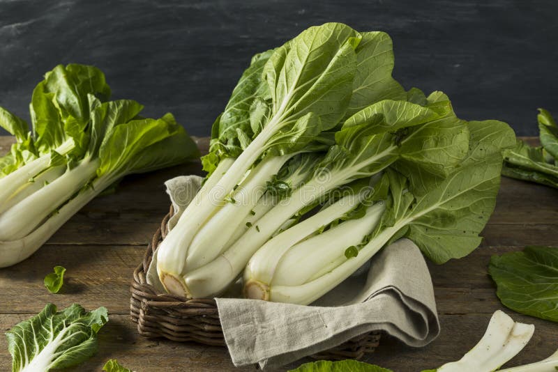Raw Green Organic Bok Choy stock image. Image of healthy - 94523407
