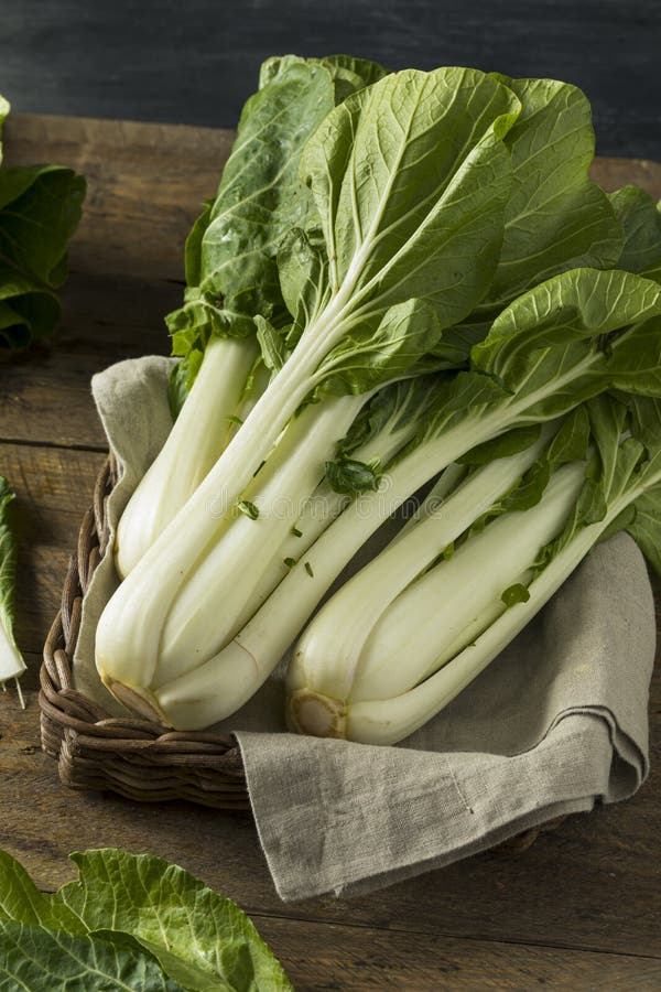 Raw Green Organic Bok Choy stock photo. Image of health - 94523496