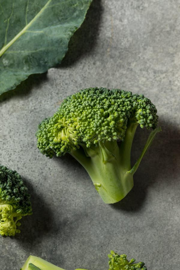 Raw Green Organic Broccoli Florets Stock Image - Image of gourmet ...