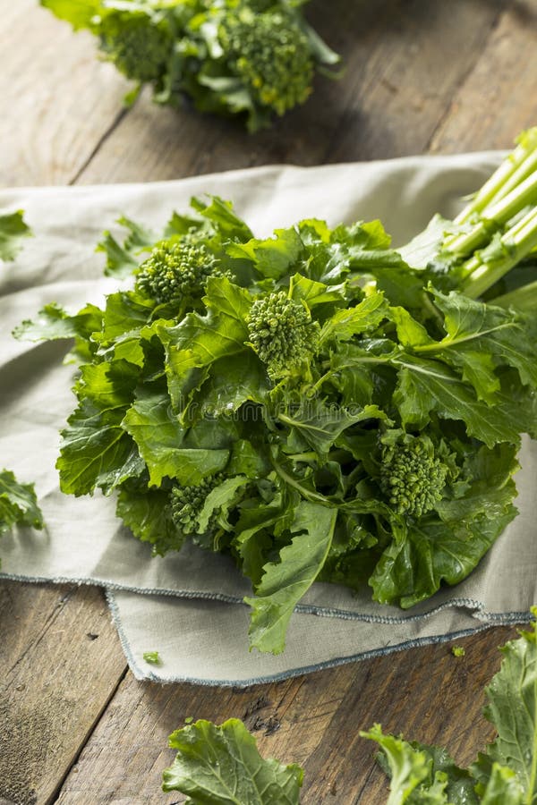 Raw Green Organic Broccoli Rabe Stock Photo - Image of nutrition ...