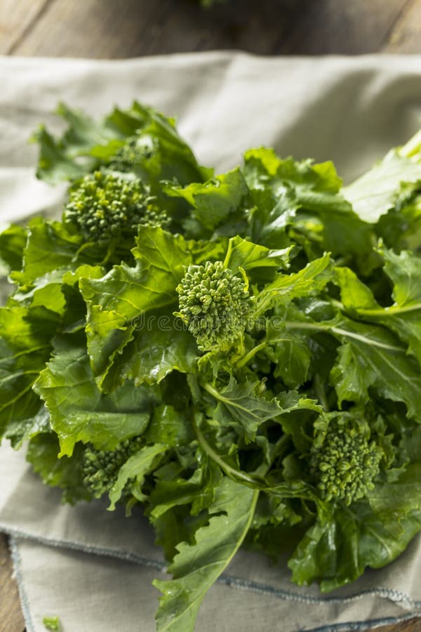 Raw Green Organic Broccoli Rabe Stock Photo - Image of healthy, rabe ...