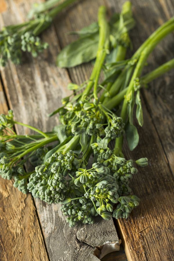 Raw Green Organic Broccolini Stock Photo - Image of leafy, closeup ...